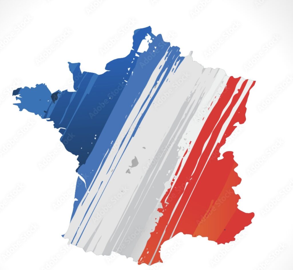 Carte France entière pour alpha 100 - DOG TRACKING BY BPA EQUIPEMENT.FR